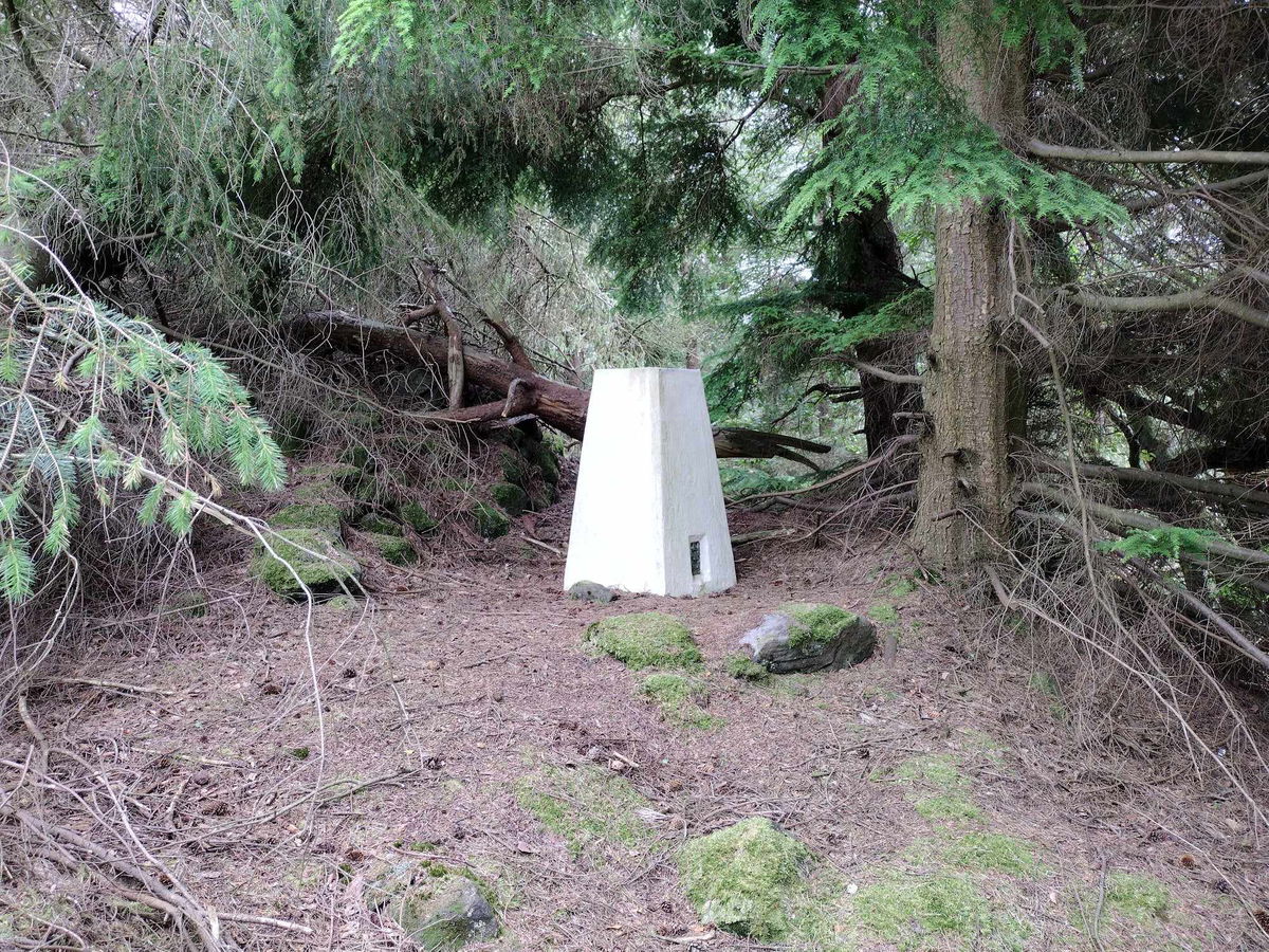 Shepherdskirk Hill Trig Point In Belford - Northumberland Trig Points