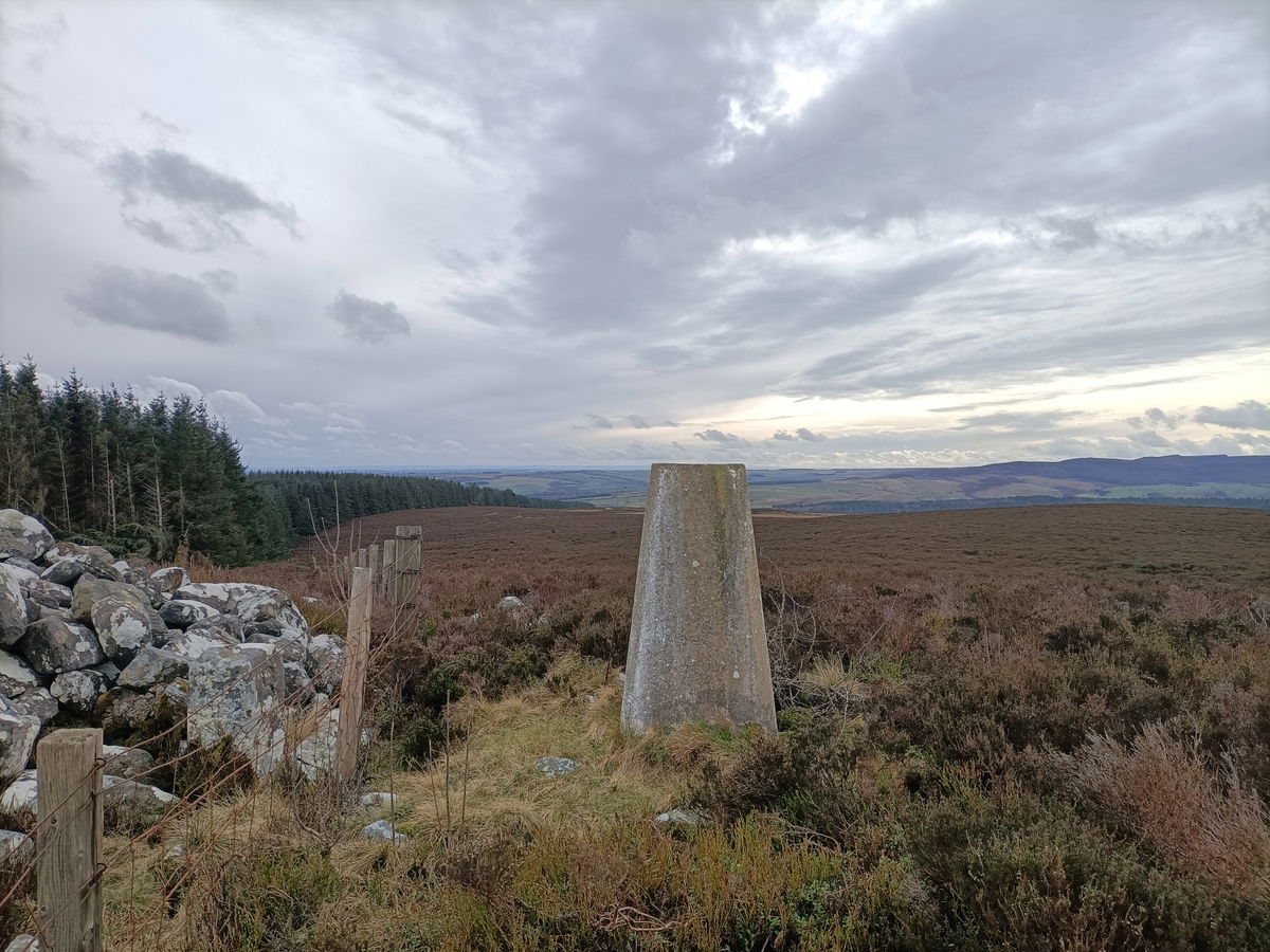 Shirlah Pike Trig Point In Rothbury - Northumberland Trig Points