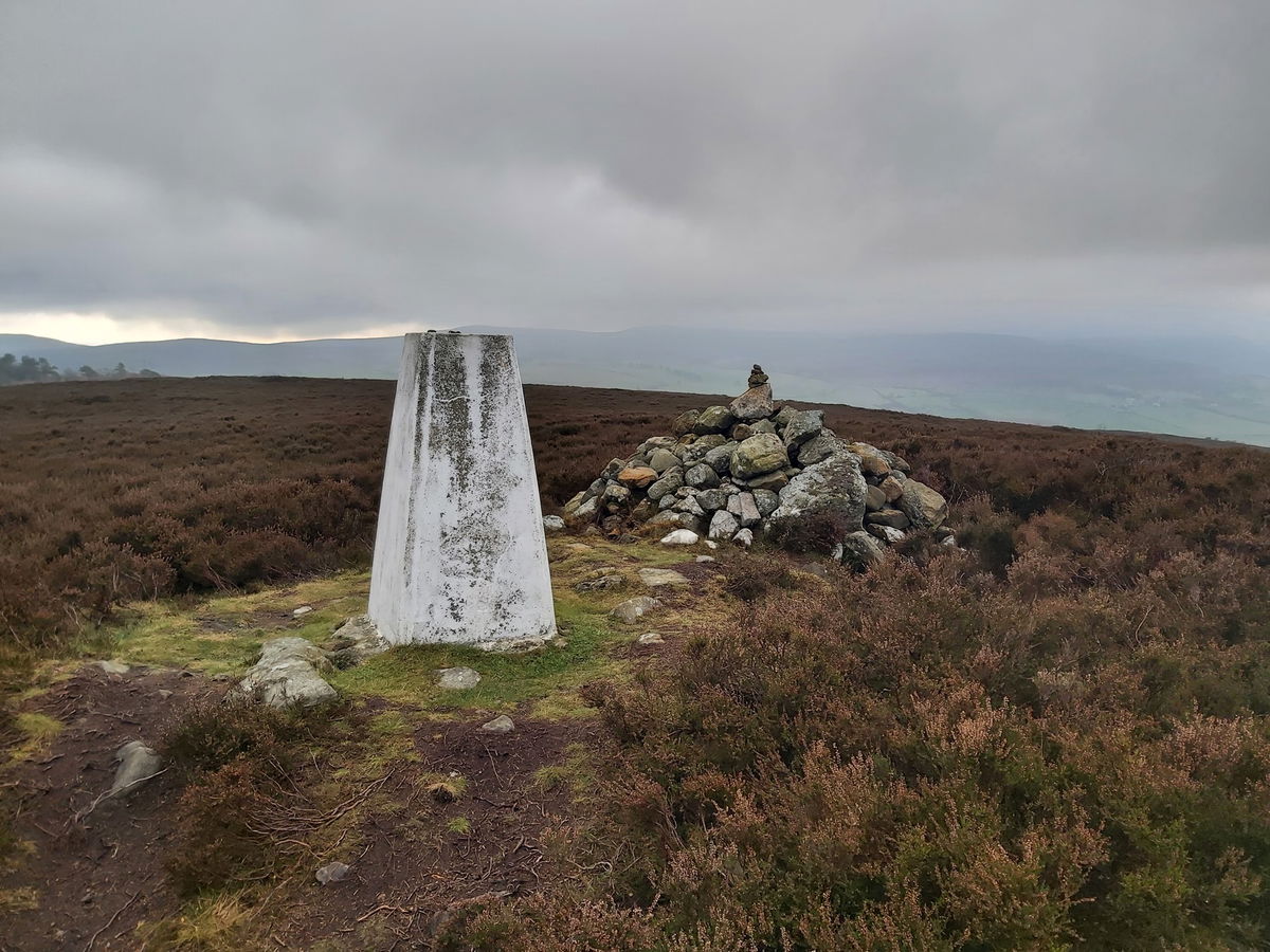 Target Plantation Trig Point In Rothbury - Northumberland Trig Points