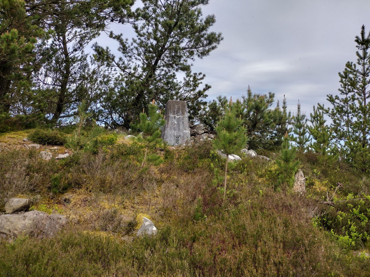 The Beacon Trig Point In Harbottle - Northumberland Trig Points