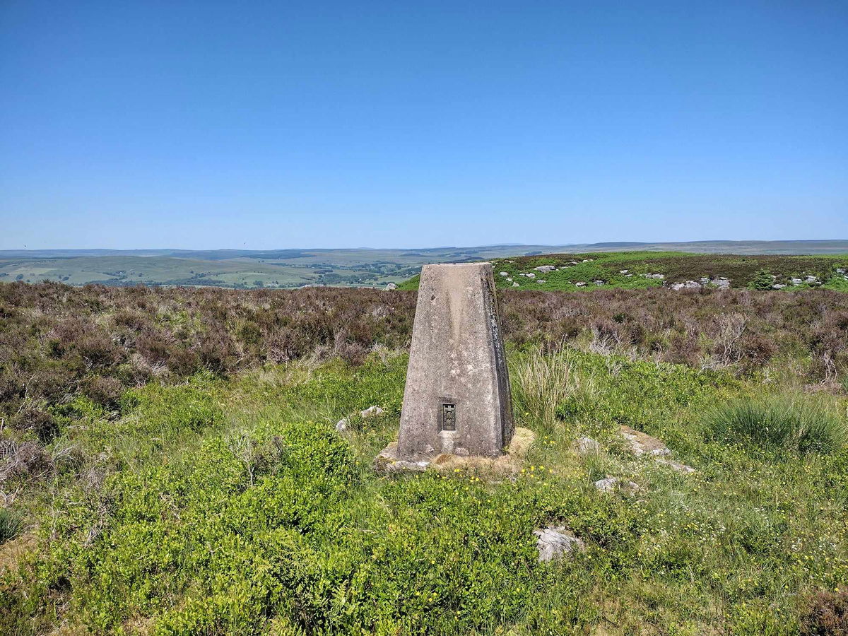 Watch Crags Trig Point In Kielder - Northumberland Trig Points