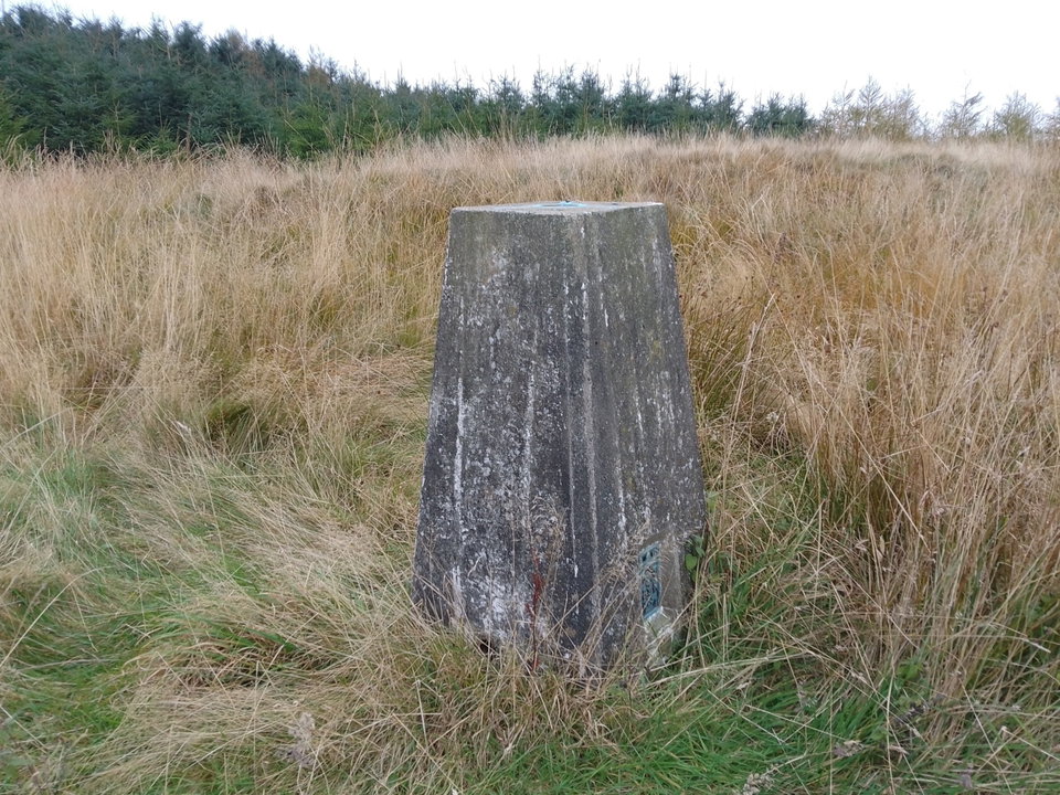 White House Hill Trig Point In Alnwick - Northumberland Trig Points