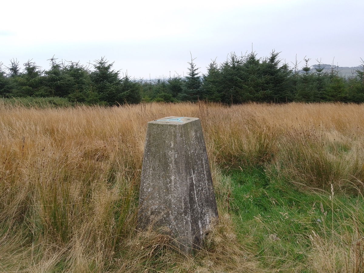 White House Hill Trig Point In Alnwick - Northumberland Trig Points