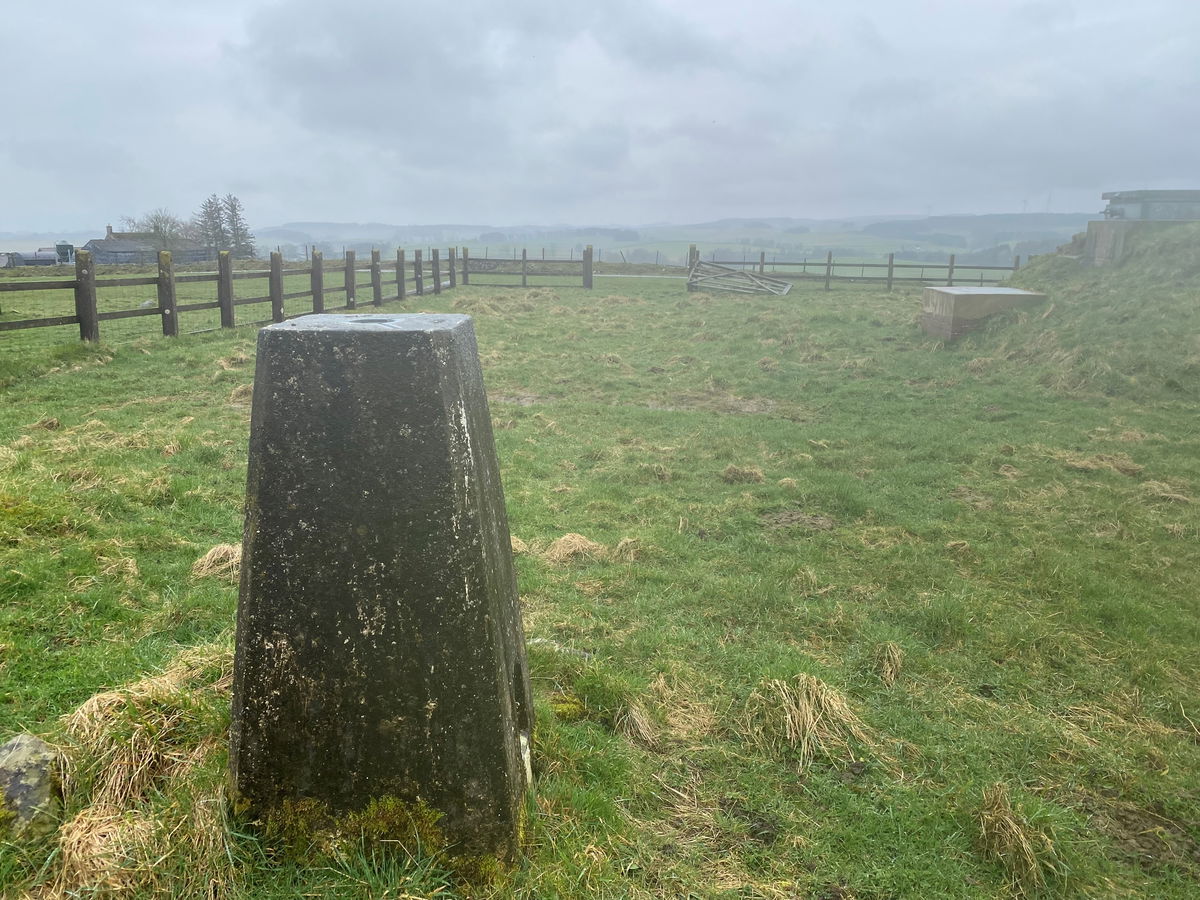 Whitehill Trig Point In Kirkwhelpington - Northumberland Trig Points