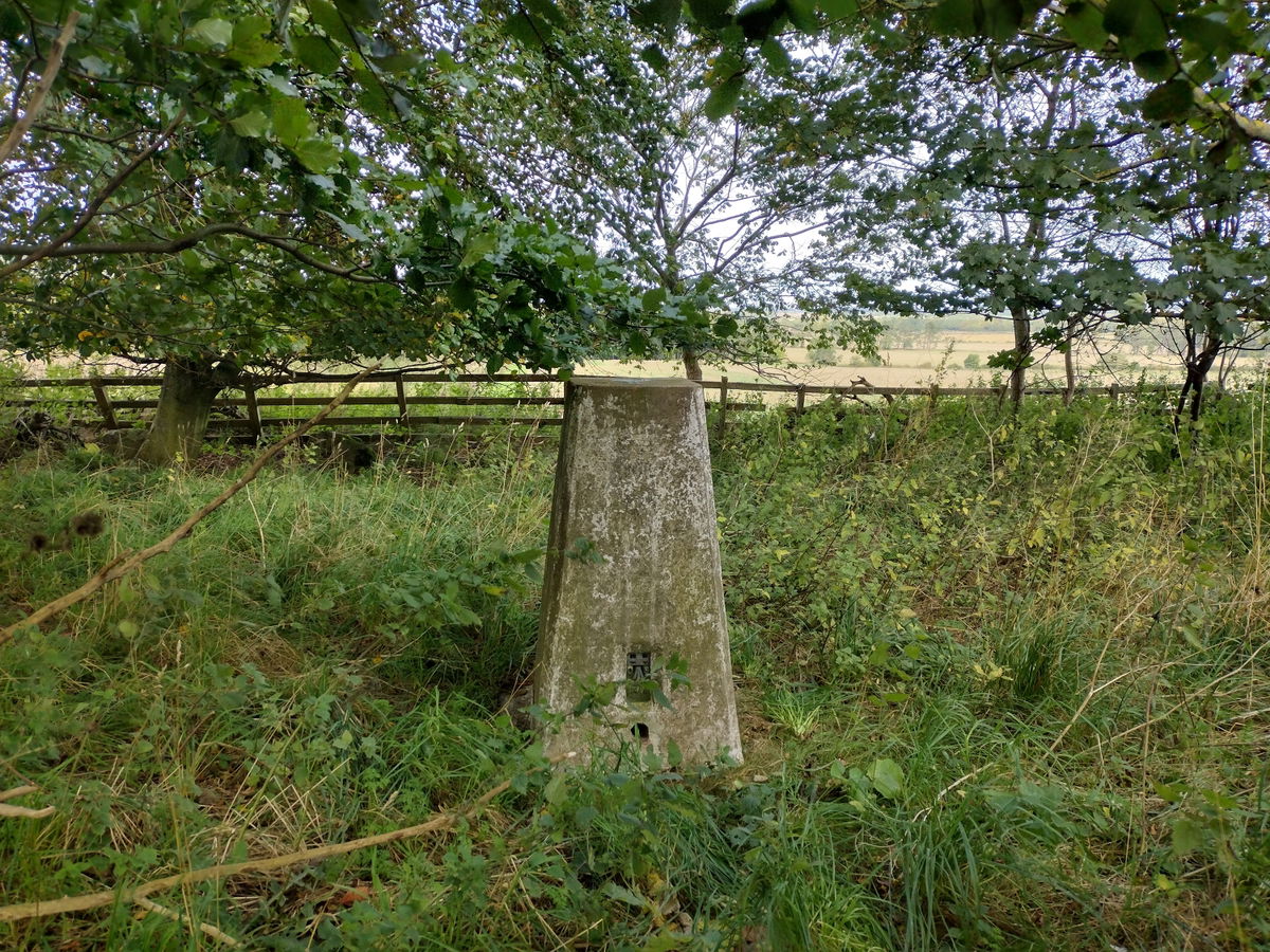 Whitton Hill Trig Point In Ford And Etal - Northumberland Trig Points