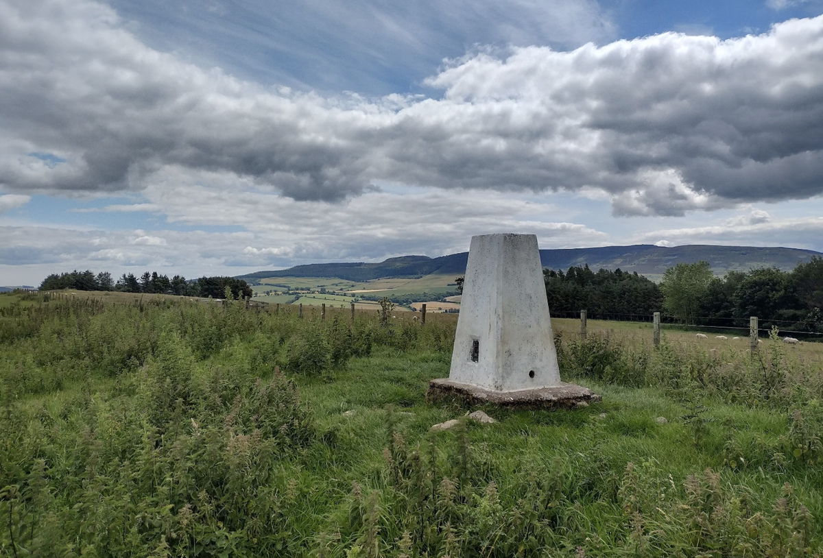 Wreighill Pike Trig Point In Rothbury - Northumberland Trig Points